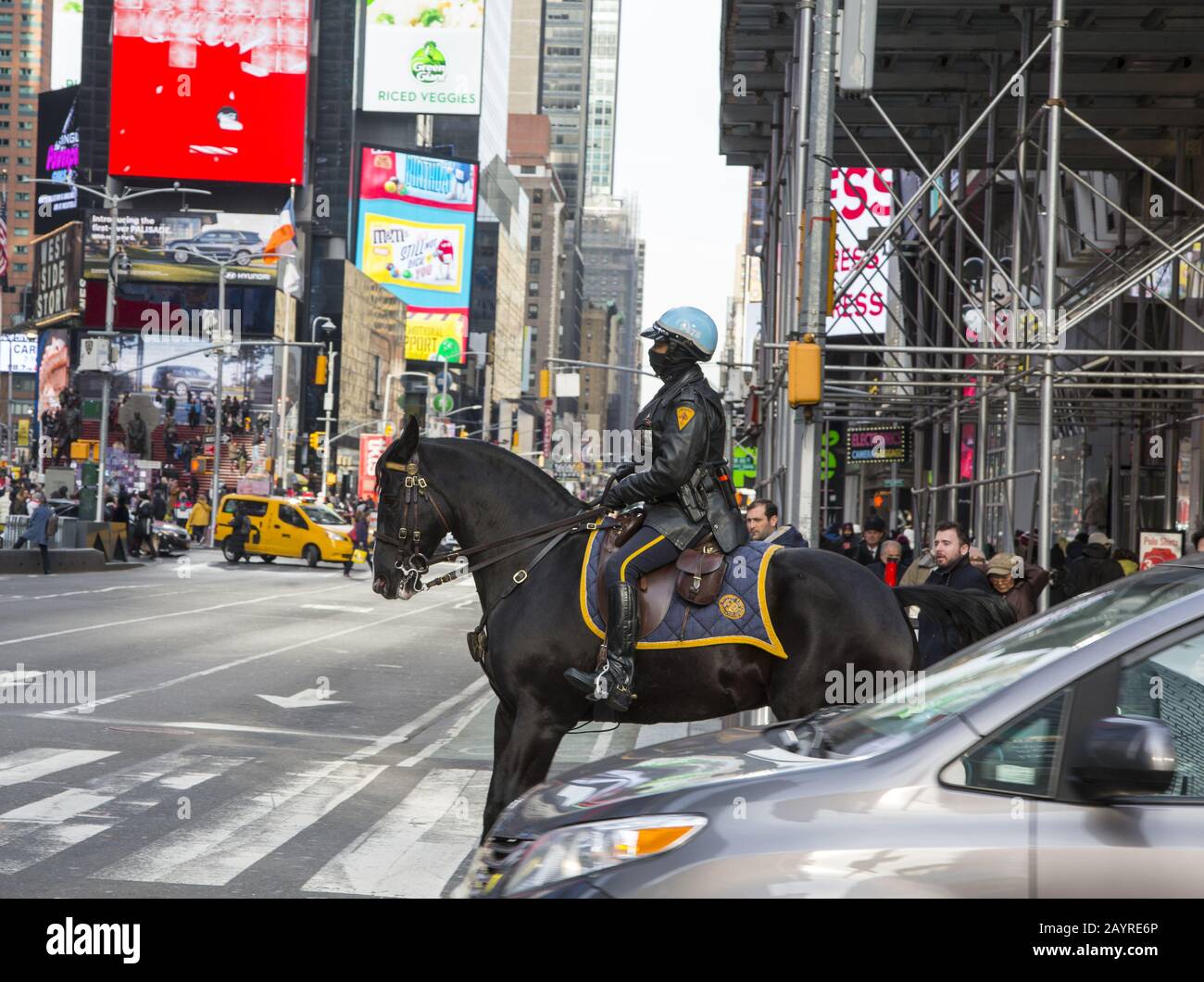 Mounted on horseback NYPD police woman about to cross 7th Avenue in ...