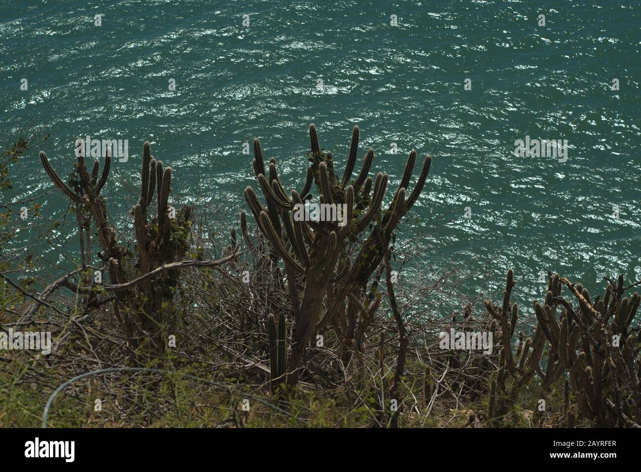 Guanica, puerto rico hi-res stock photography and images - Alamy