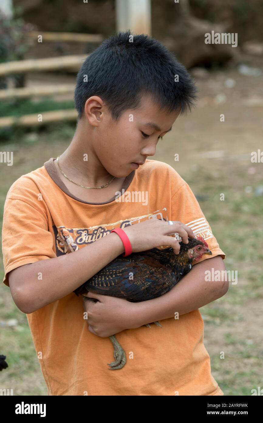 A teenage boy is holding a chicken at Ban Muangkeo Village, a cultural ...