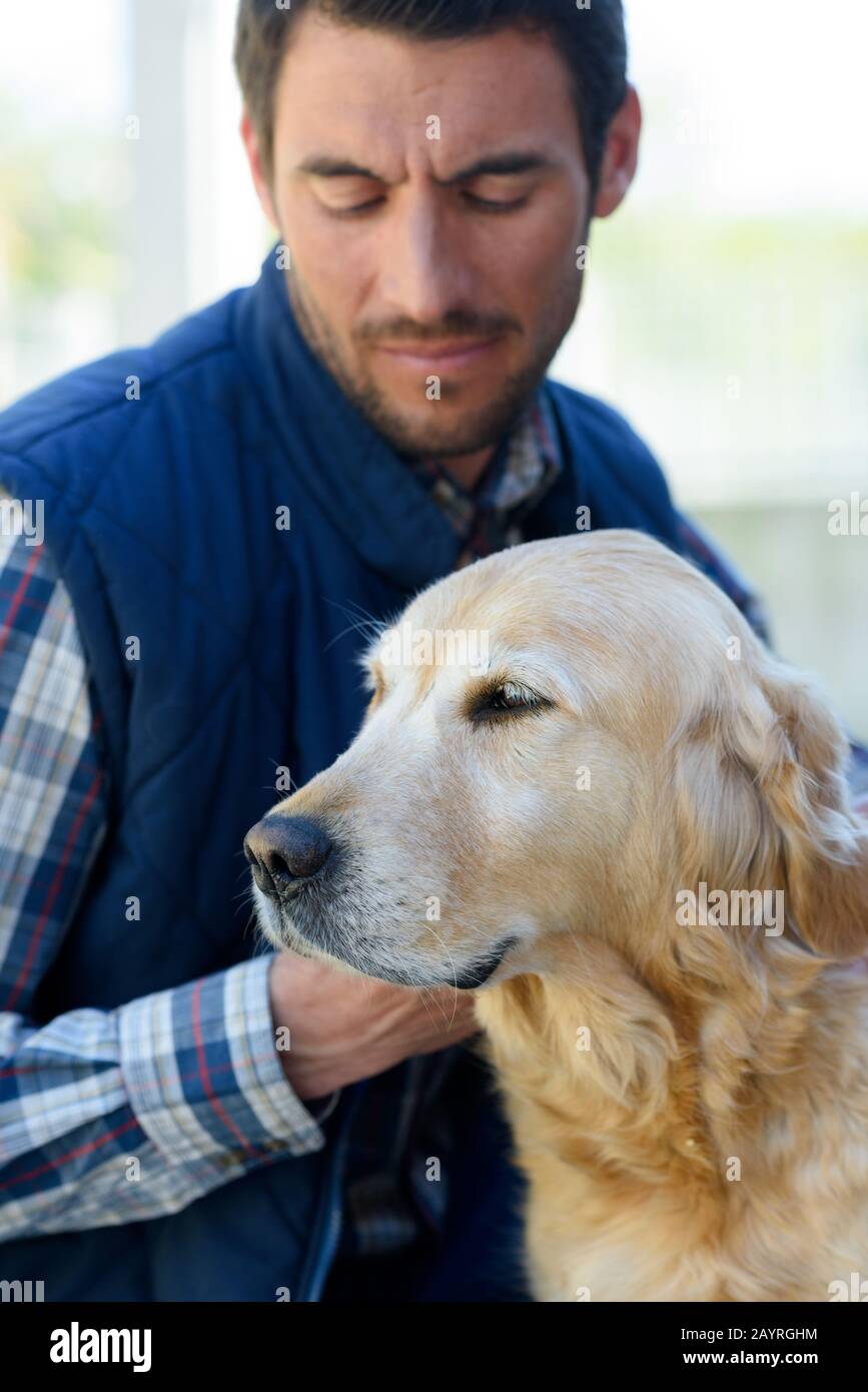 friendship of a man and dogs Stock Photo - Alamy