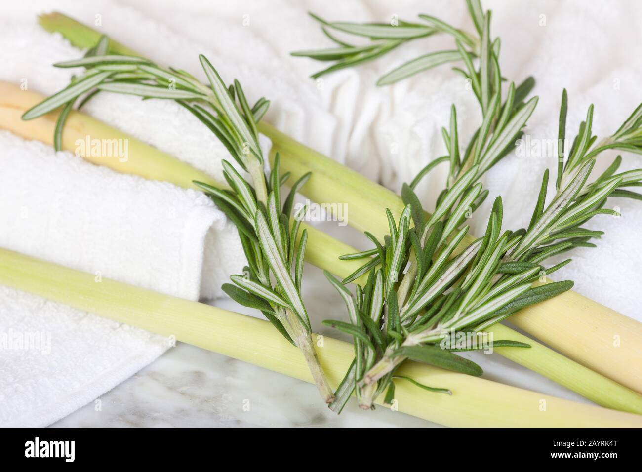 Barbed wire grass hi-res stock photography and images - Alamy