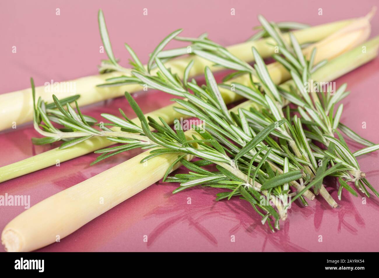 Barbed wire grass hi-res stock photography and images - Alamy