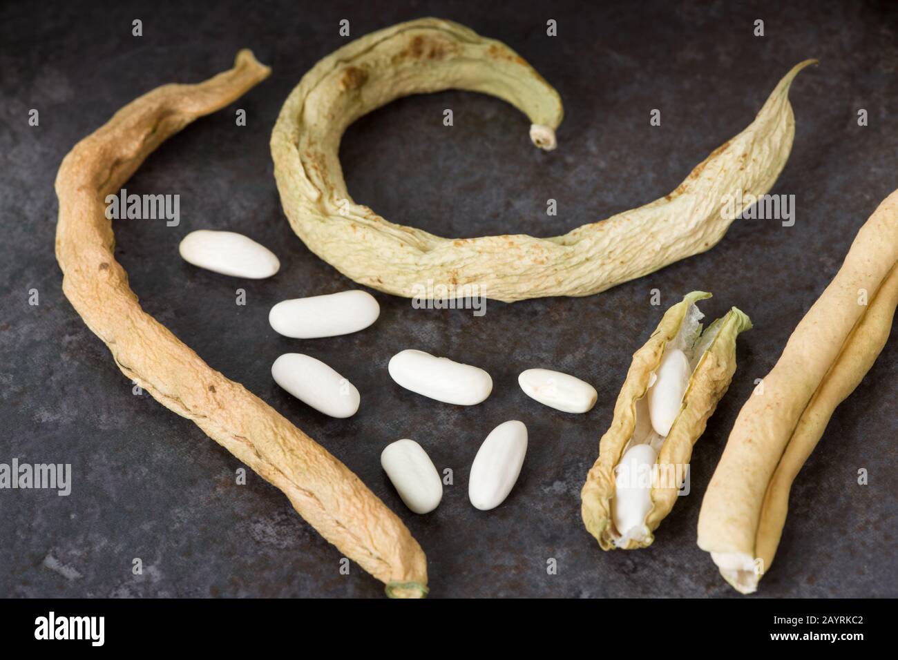 Curled seed pod hi-res stock photography and images - Alamy