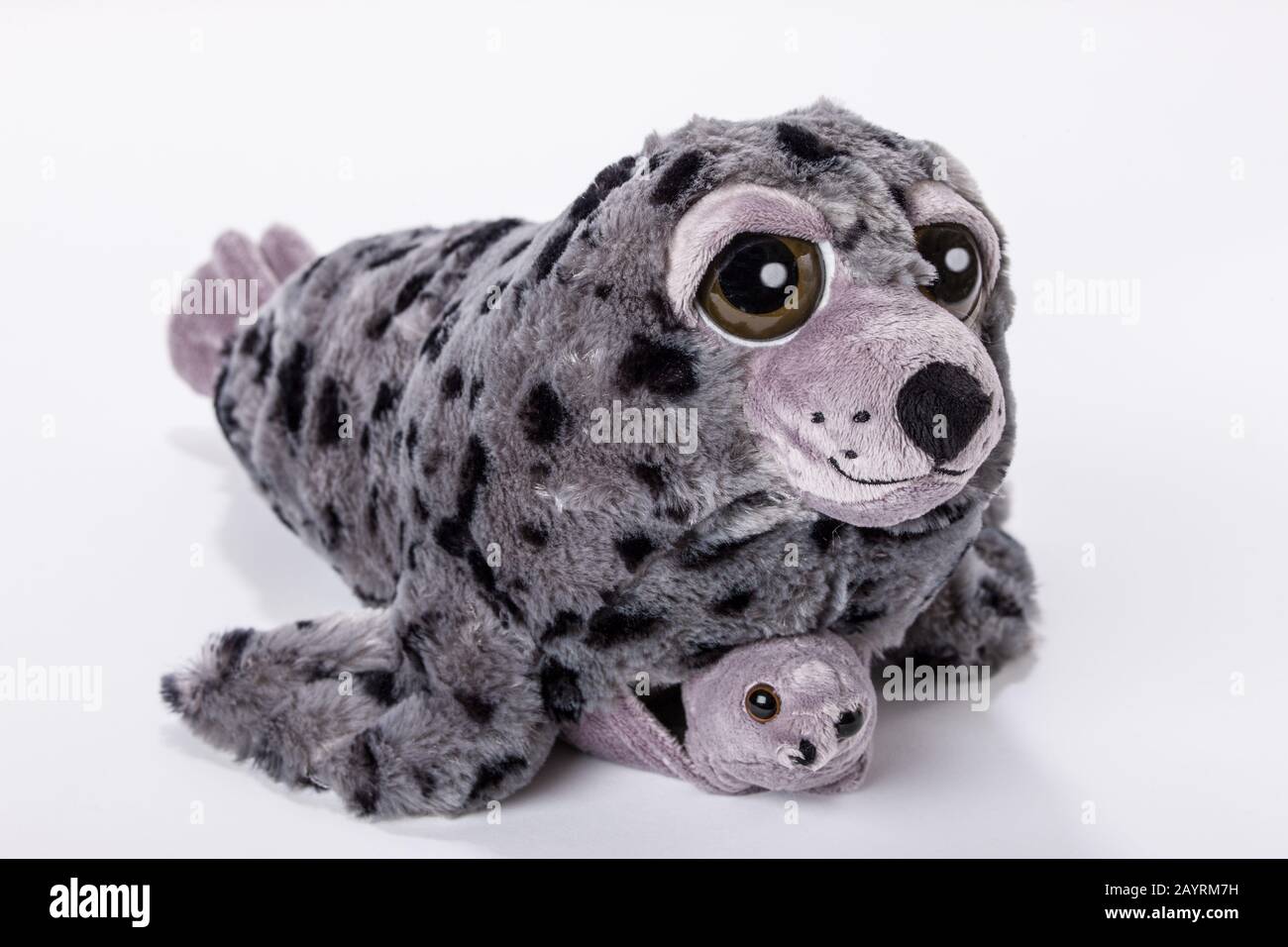 Stuffed toy harbor seal Stock Photo - Alamy