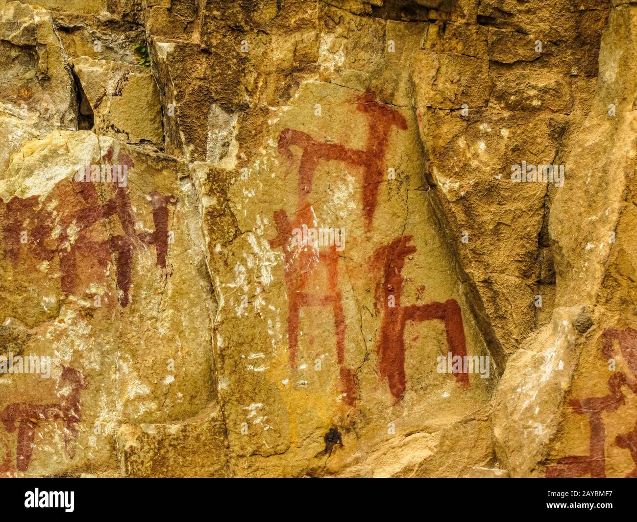 Ancient tribal cave drawings of animals in Peru outside Stock Photo - Alamy