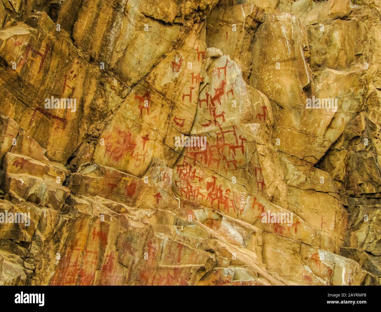 Ancient tribal cave drawings of animals in Peru outside Stock Photo - Alamy