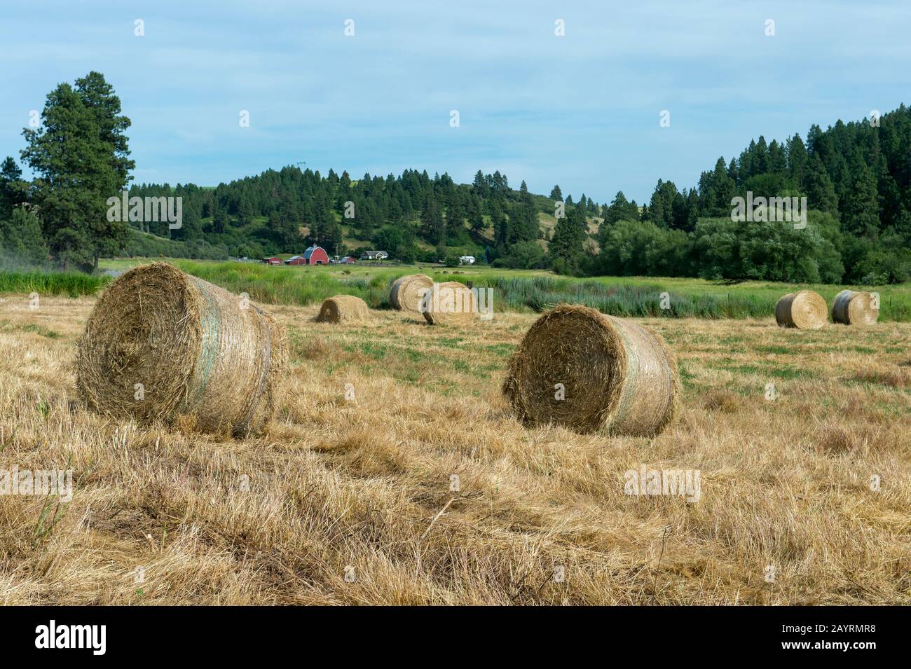 Hay bales in the Union Flat Creek valley in Whitman County in the ...