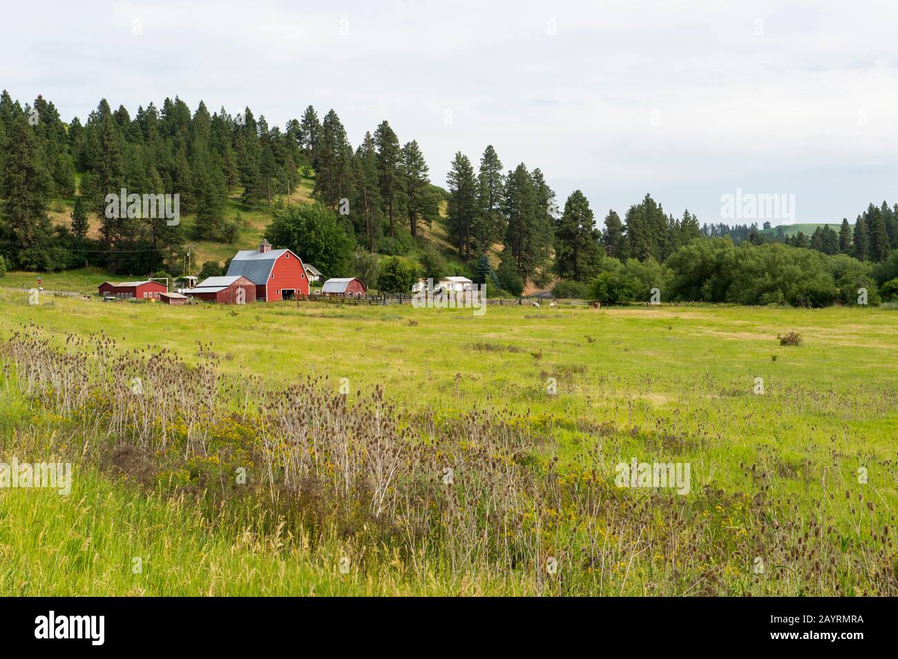 View of a farm with a red barn in the Union Flat Creek valley in ...