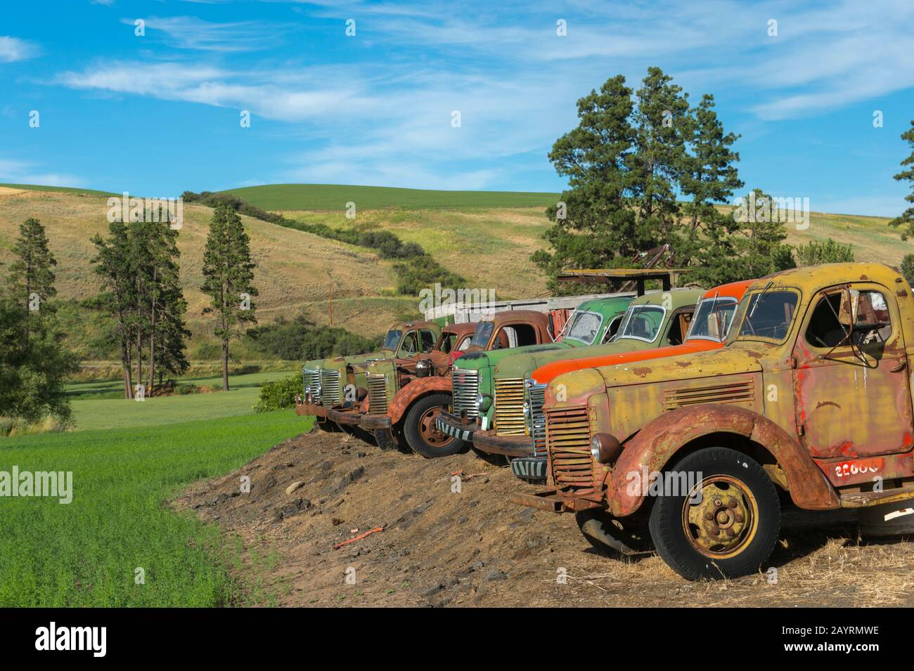 Old farm trucks at a farm in Whitman County in the Palouse, Washington ...