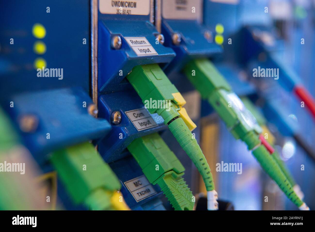 Stuttgart, Germany. 13th Feb, 2020. Ethernet cables are plugged into a ...
