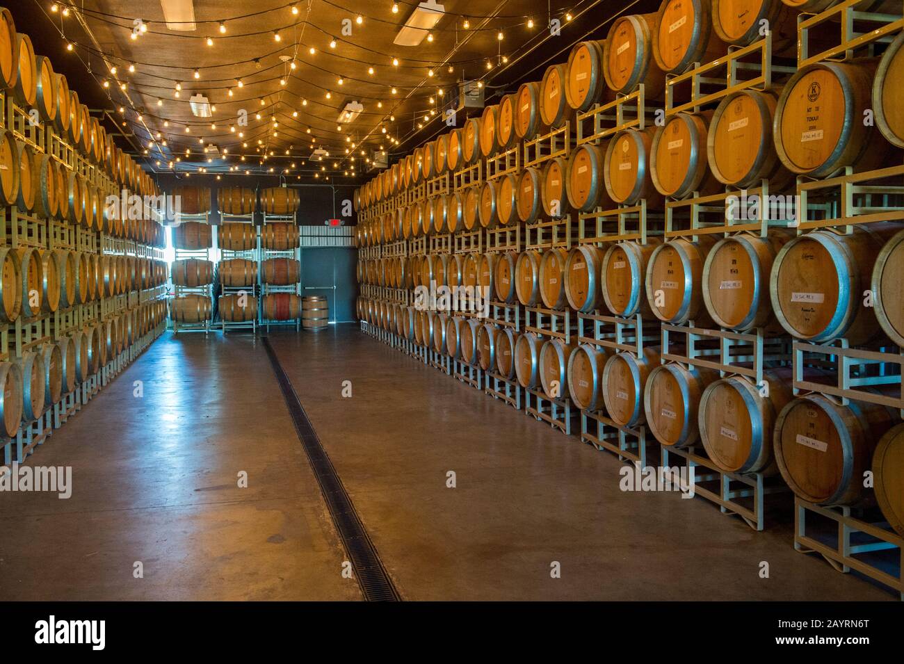 Interior with wine barrels of Merry Cellars winery in Pullman in ...