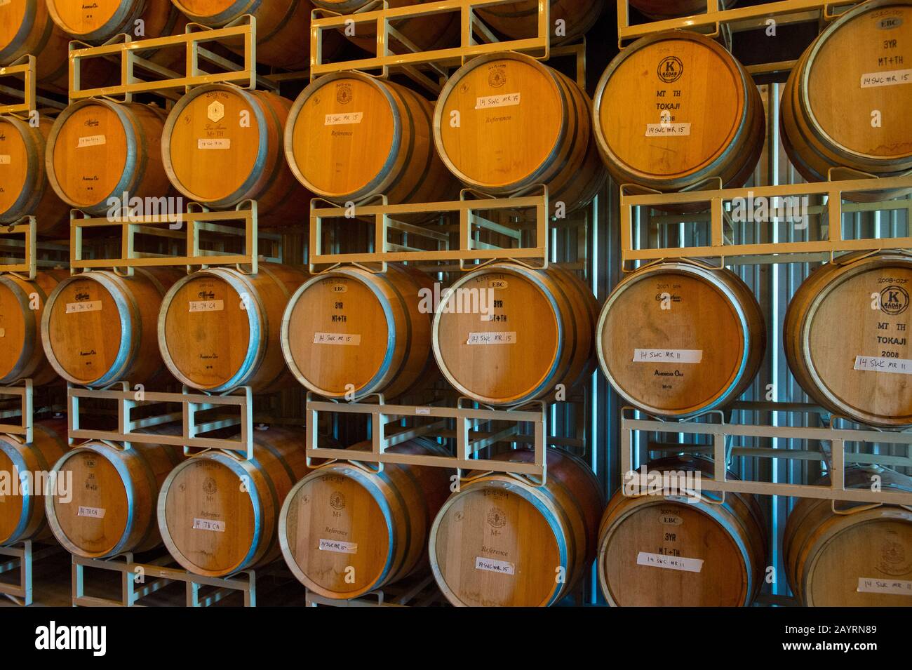 Interior with wine barrels of Merry Cellars winery in Pullman in ...