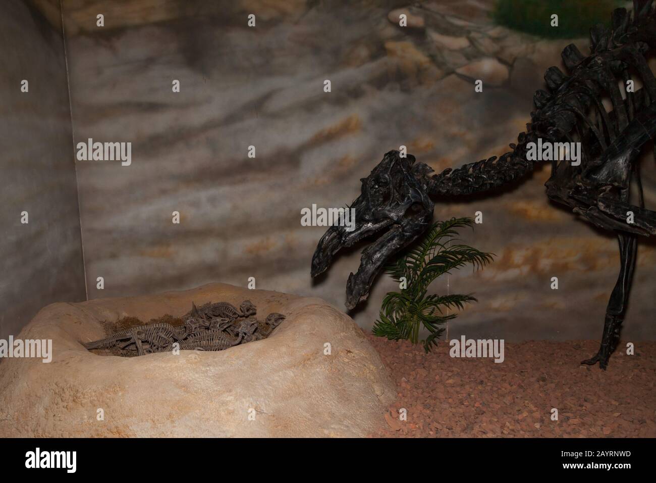 Dinosaur Nest High Resolution Stock Photography and Images - Alamy