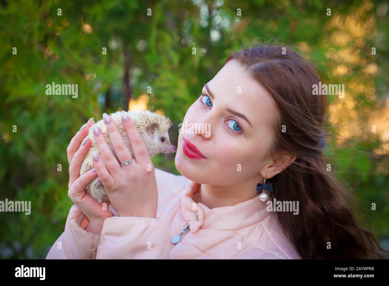 Girl and African pygmy hedgehog. Cute hedgehog Stock Photo - Alamy