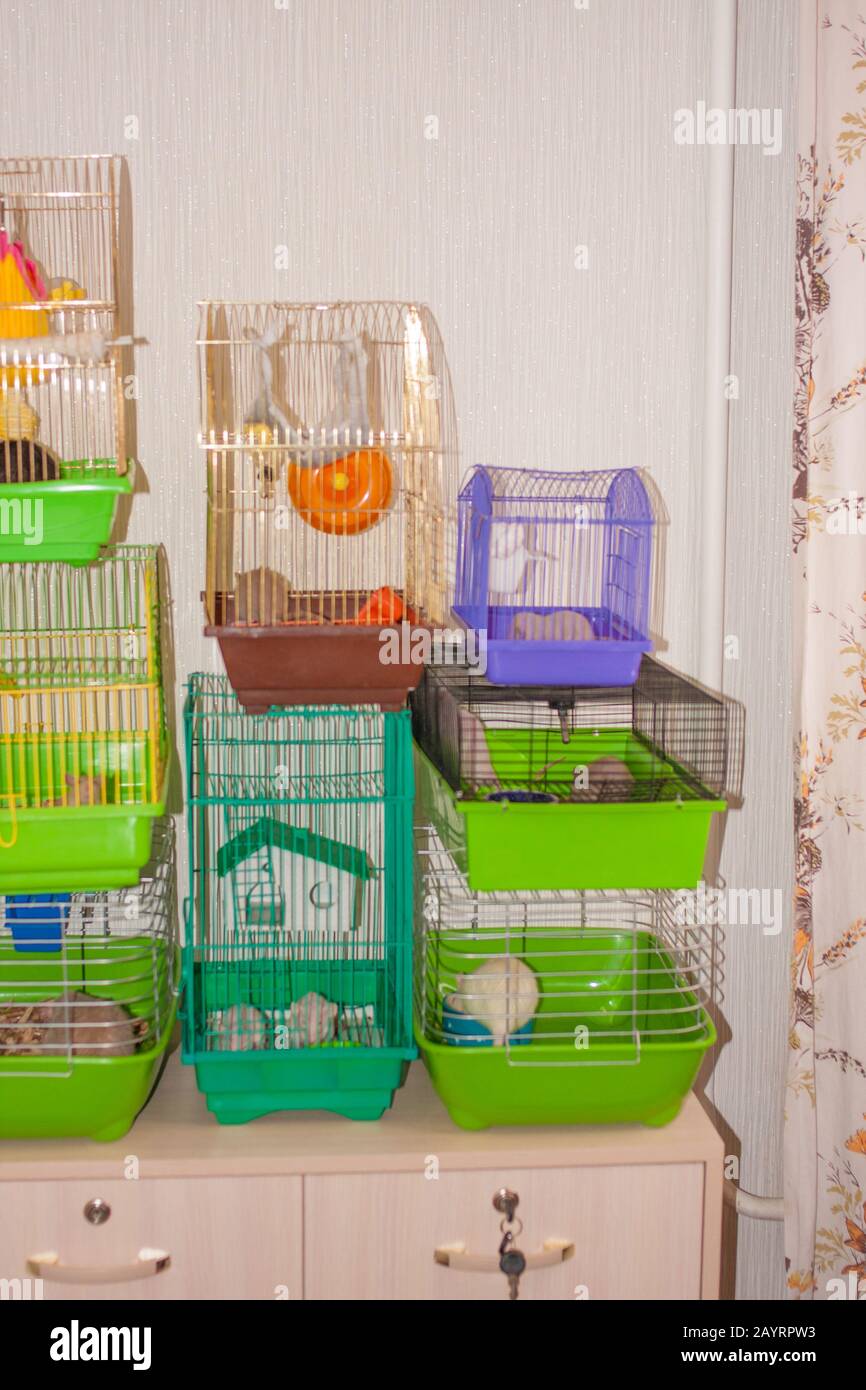 Colored cages for animals. Many many cells Stock Photo - Alamy