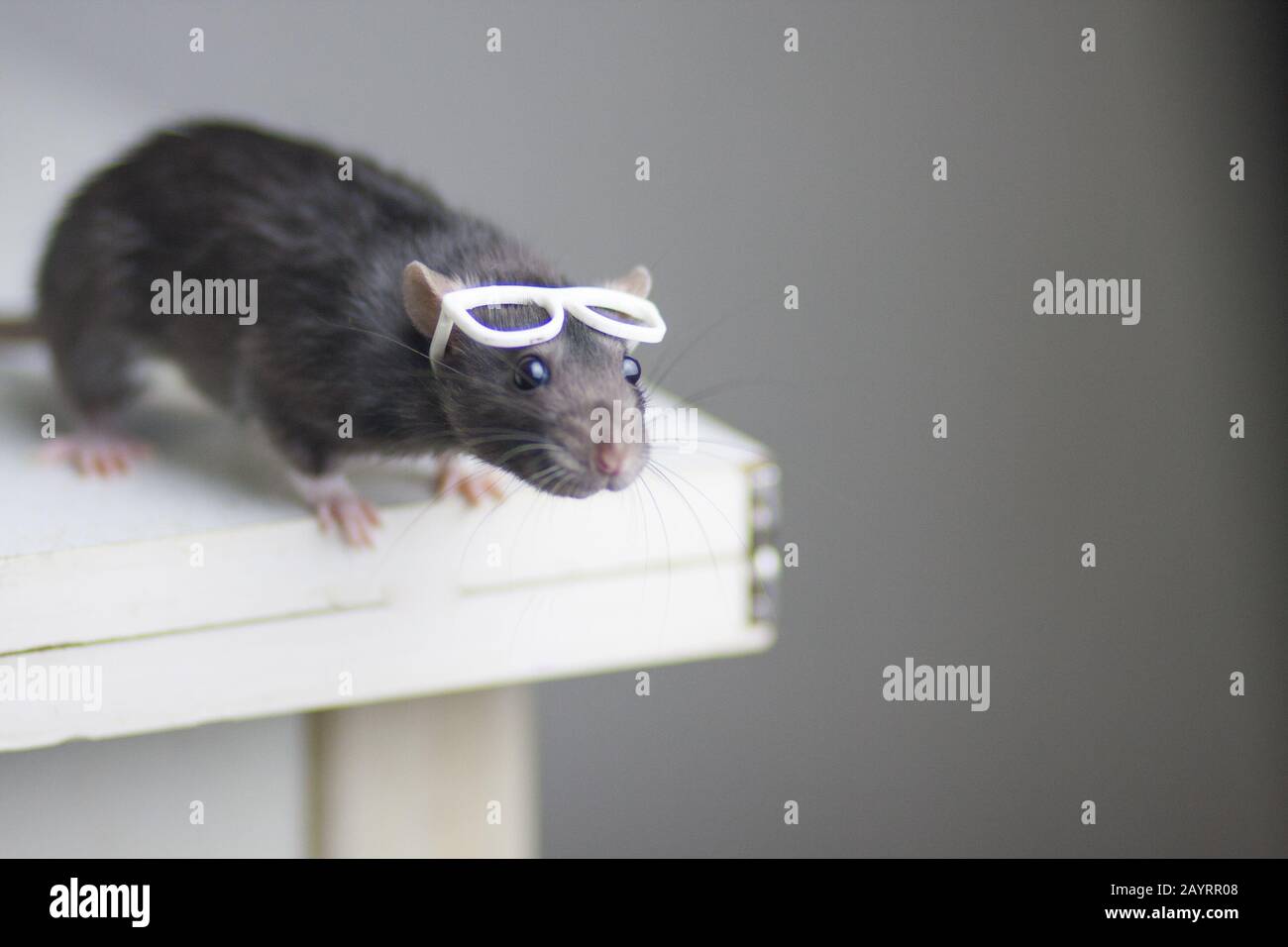 Dark glasses on calendar hi-res stock photography and images - Alamy