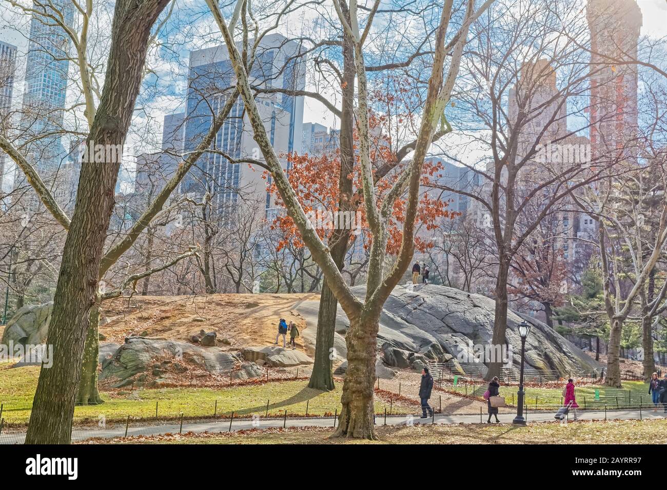 New York Central Park rocks in winter time Stock Photo - Alamy