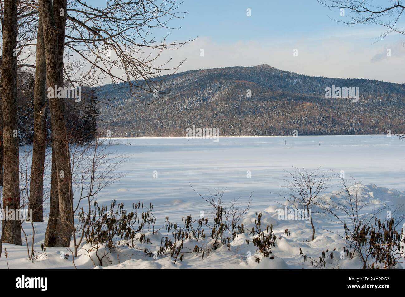 Akan national park hi-res stock photography and images - Alamy