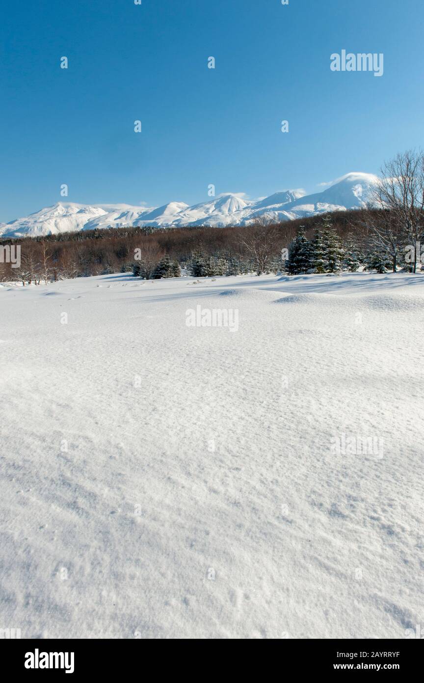Snowy landscape in the winter with the volcanic Shiretoko mountain ...