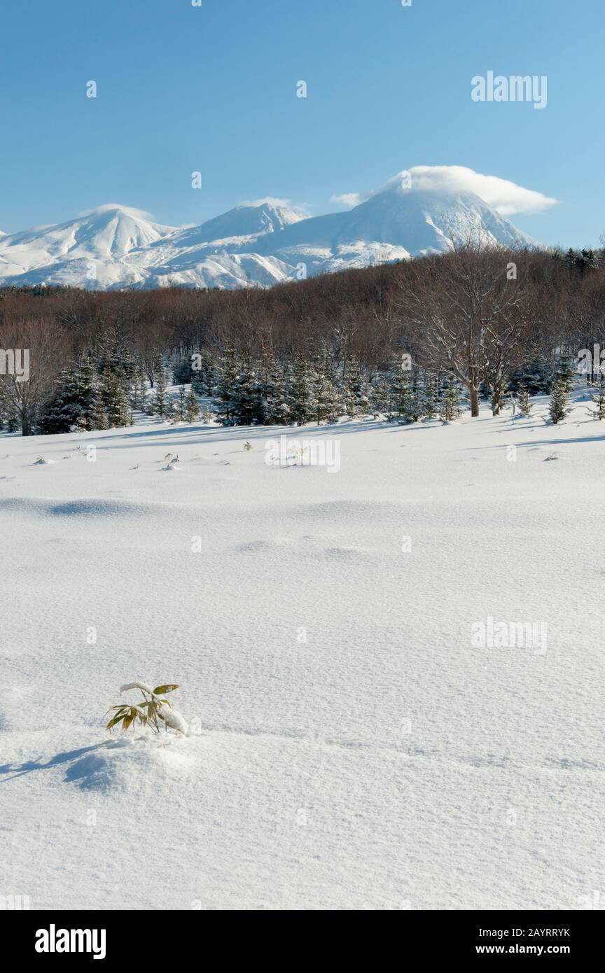 Snowy landscape in the winter with the volcanic Shiretoko mountain ...