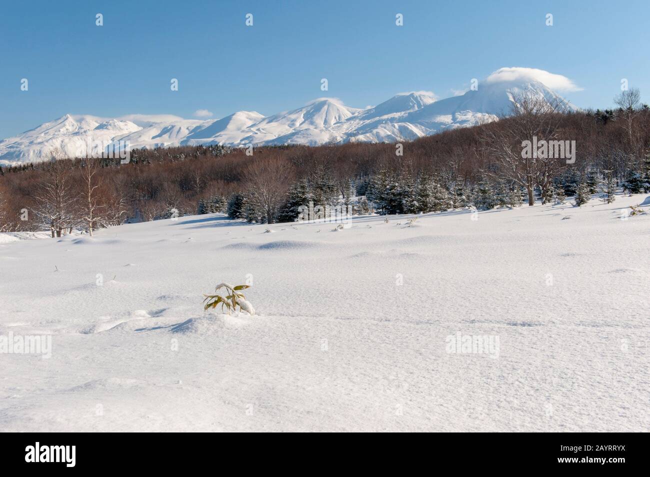 Snowy landscape in the winter with the volcanic Shiretoko mountain ...