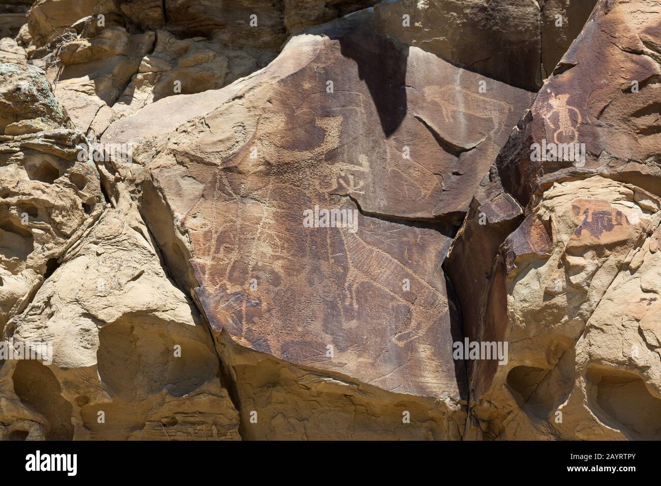 Strange shapes and figures that have been carved into the ancient ...