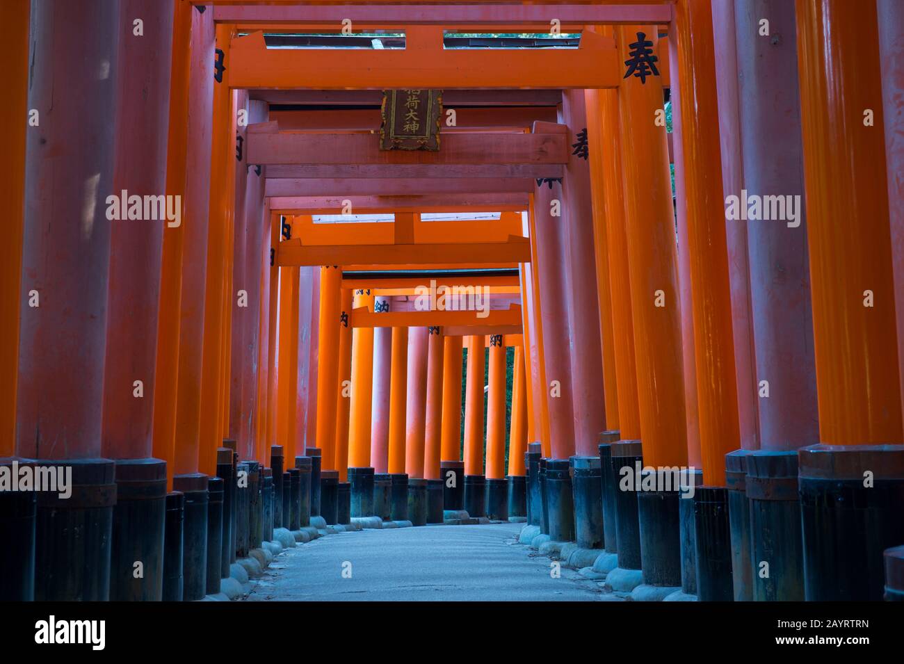 A walkway with tori gates at Fushimi Inari Taisha shrine in Kyoto ...