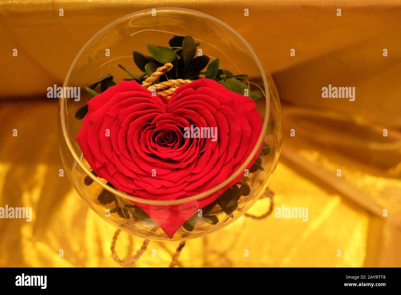 Real rose hi-res stock photography and images - Alamy
