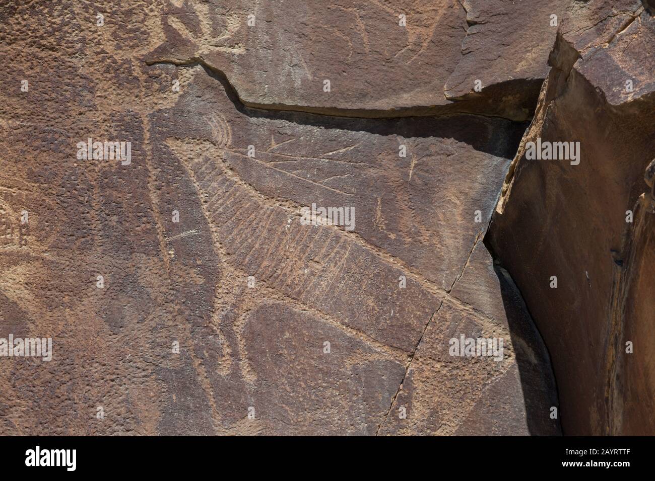 Strange shapes and figures that have been carved into the ancient ...