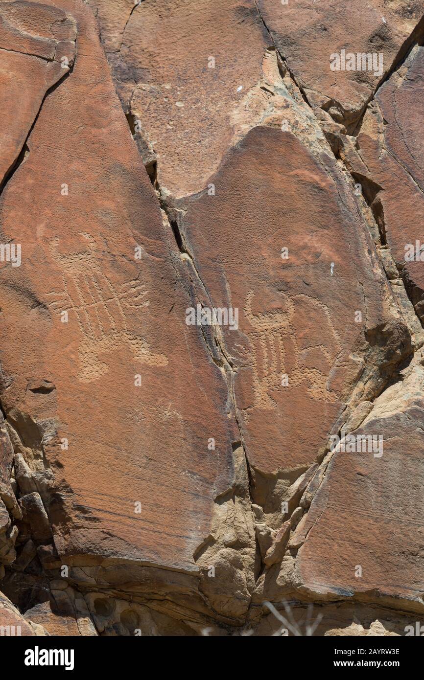 Strange shapes and figures that have been carved into the ancient ...