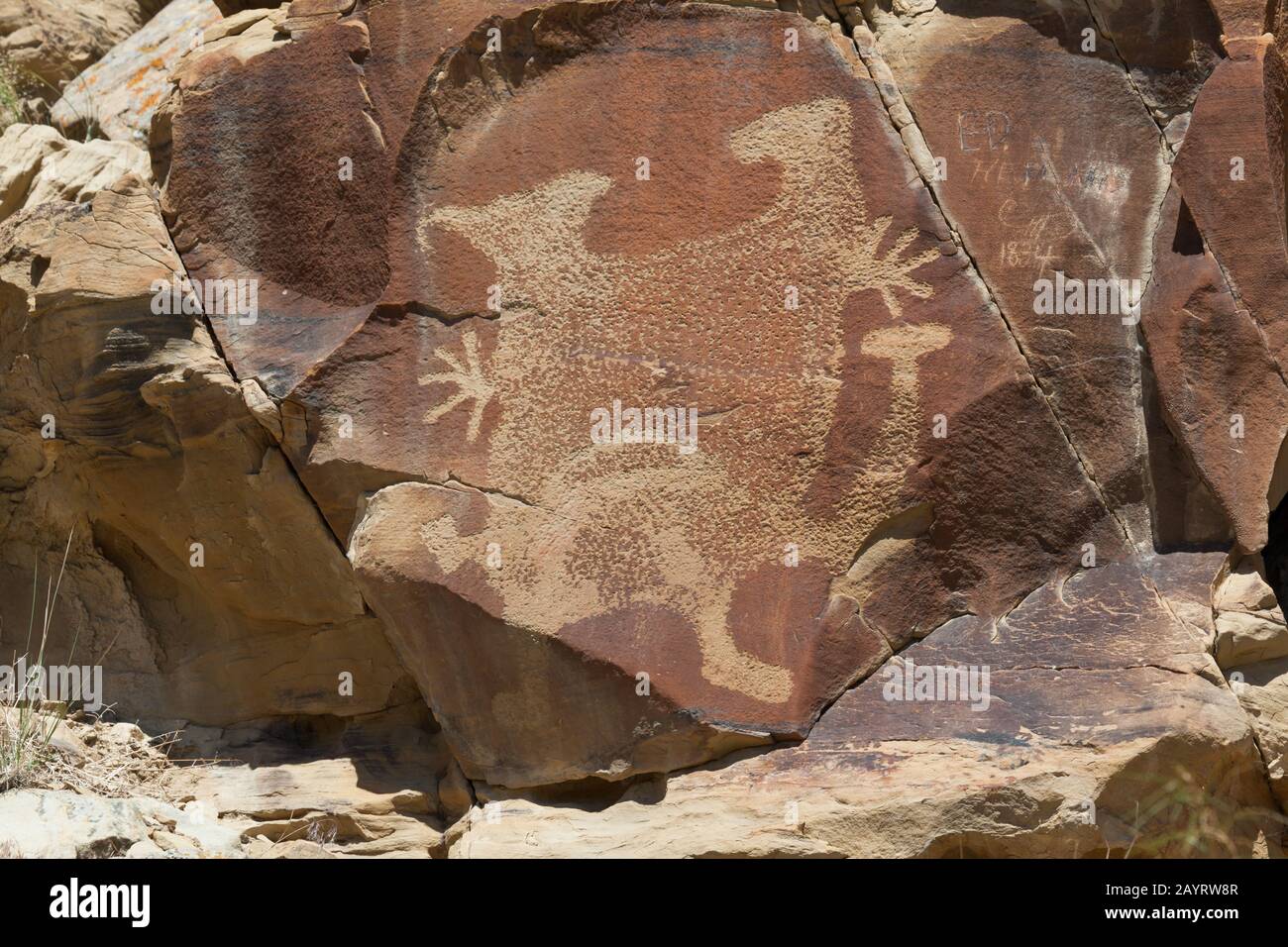 Ancient Petroglyphs