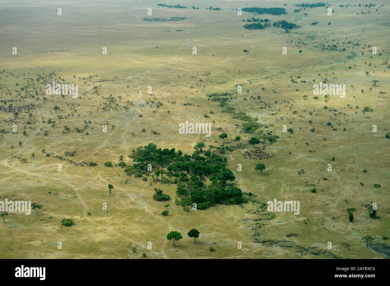 Aerial view of the Masai Mara National Reserve in Kenya Stock Photo - Alamy