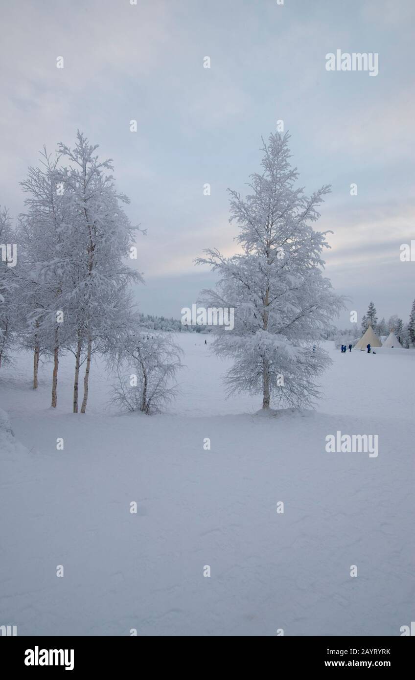 Snowy trees at Aurora Village, Yellowknife, Northwest Territories ...