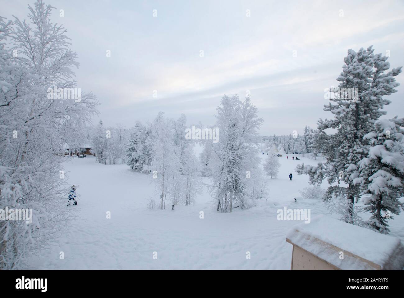 Snowy trees at Aurora Village, Yellowknife, Northwest Territories ...