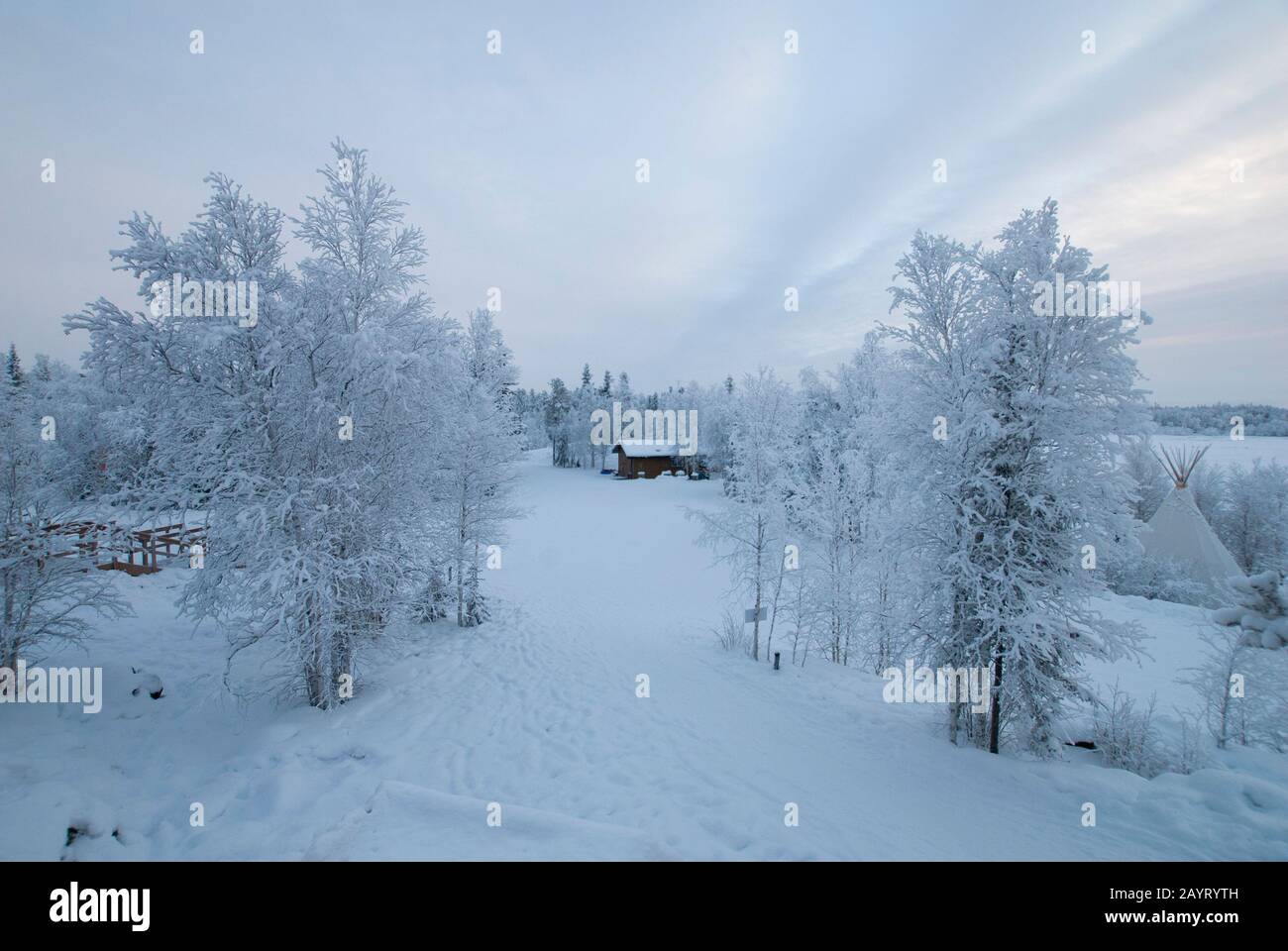 Snowy trees at Aurora Village, Yellowknife, Northwest Territories ...
