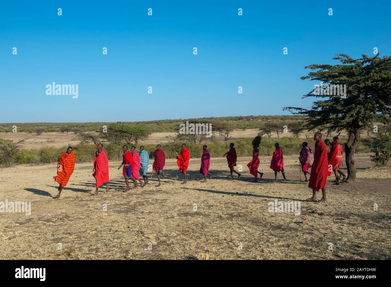 Young Maasai Men Performing A Traditional Jumping Dance In The Masai