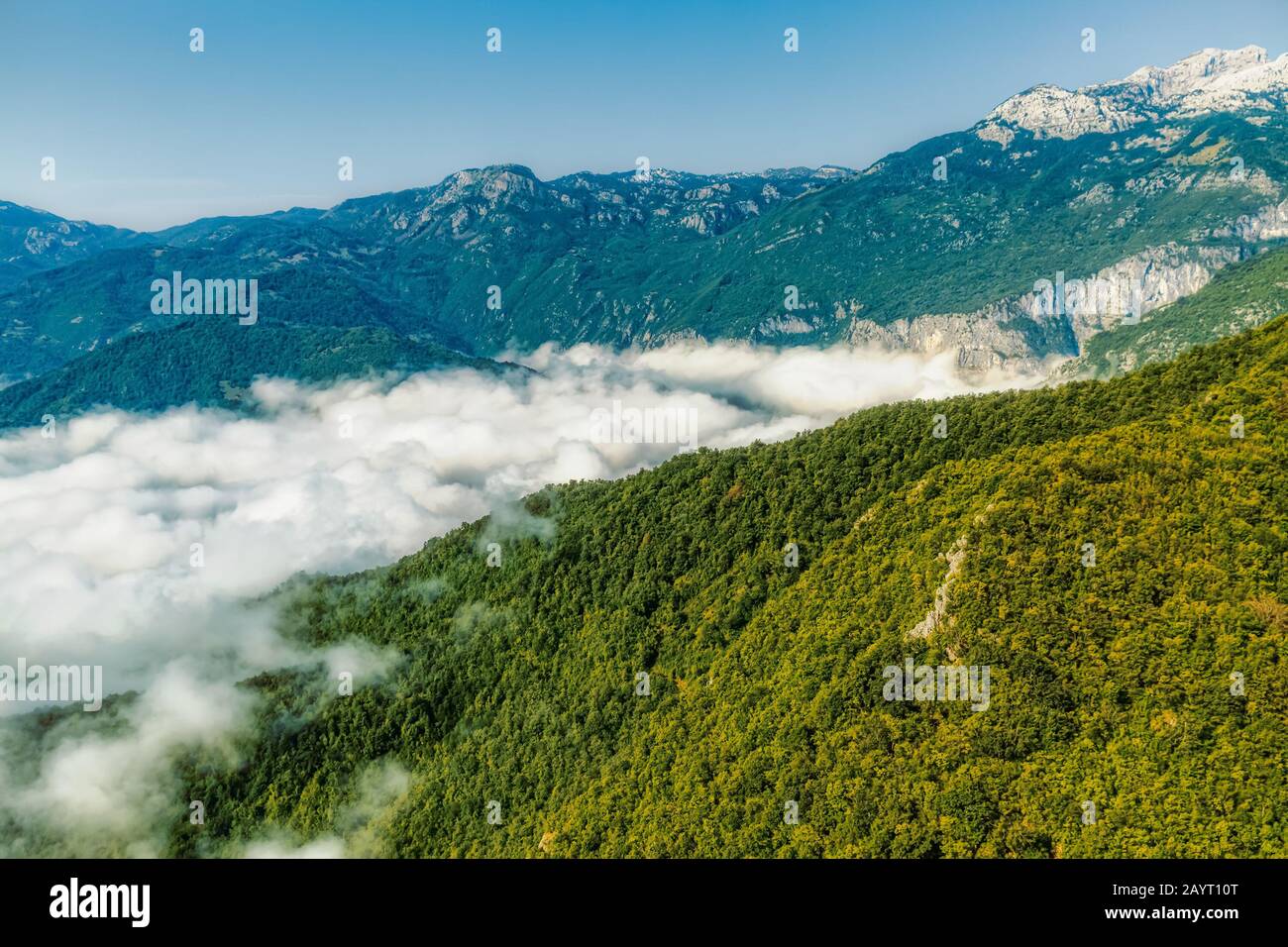 Mountain forest in sky Stock Photo - Alamy