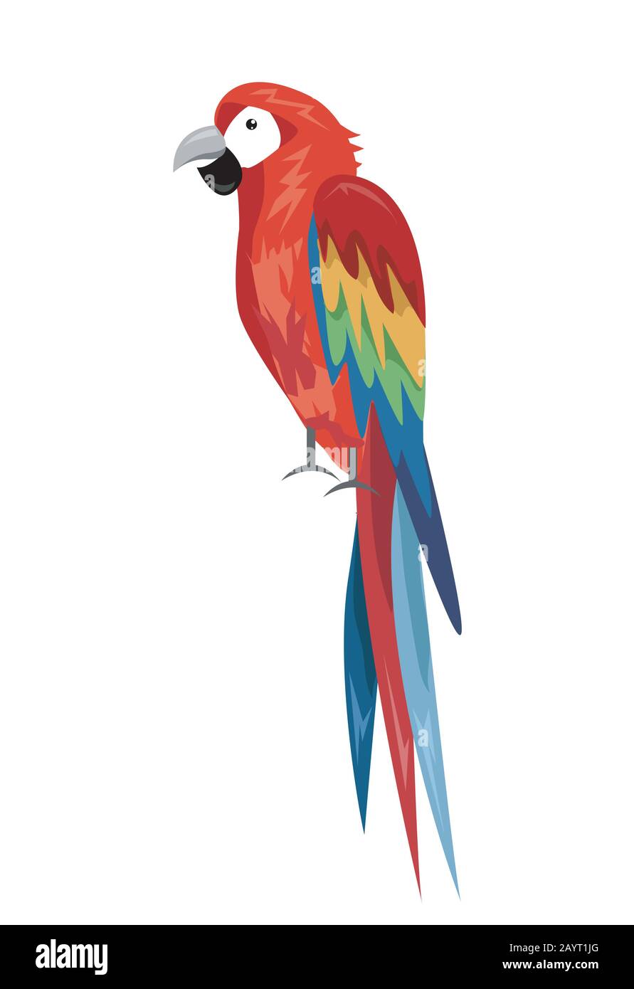 Parrot Cartoon High Resolution Stock Photography and Images - Alamy
