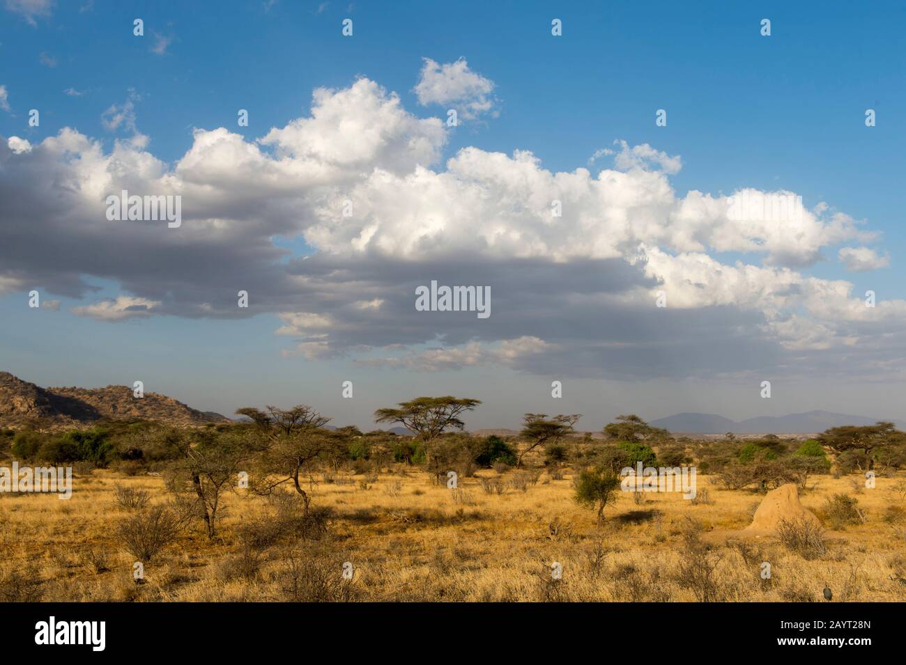 Dry landscape with cloud formations in the Samburu National Reserve in ...