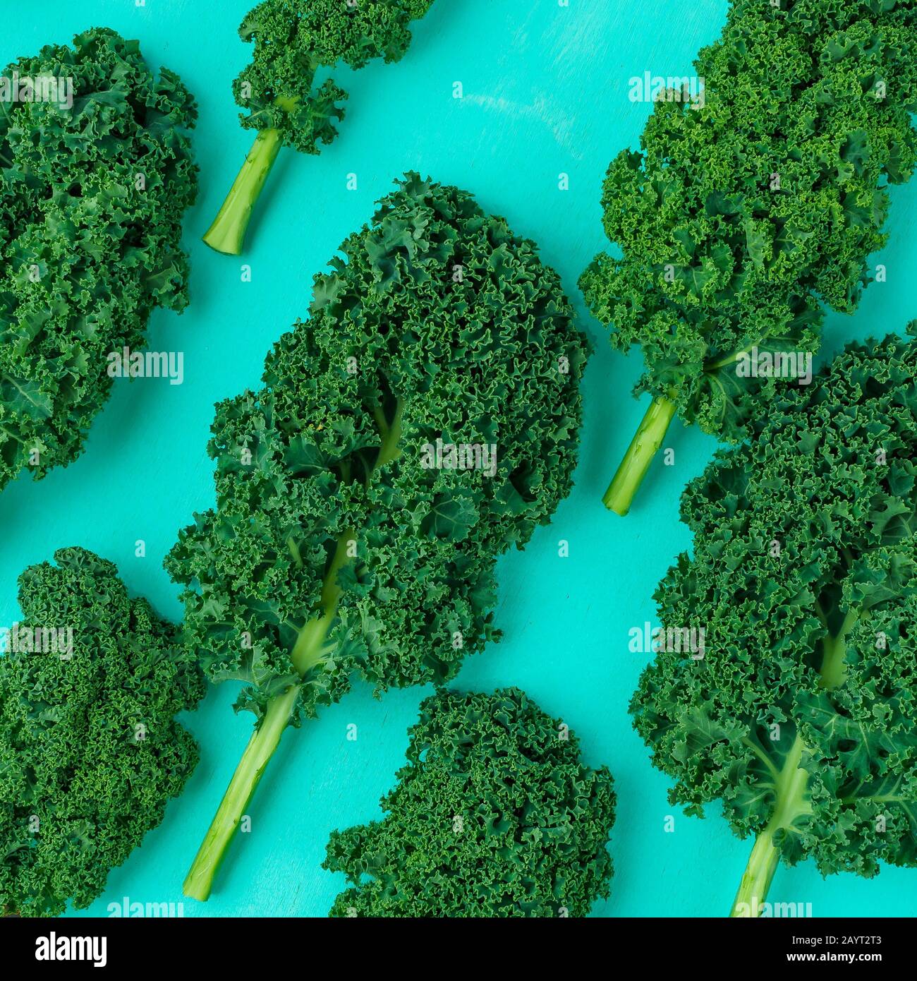 Kalegreen leaves curly kale, pattern, top view Stock Photo - Alamy