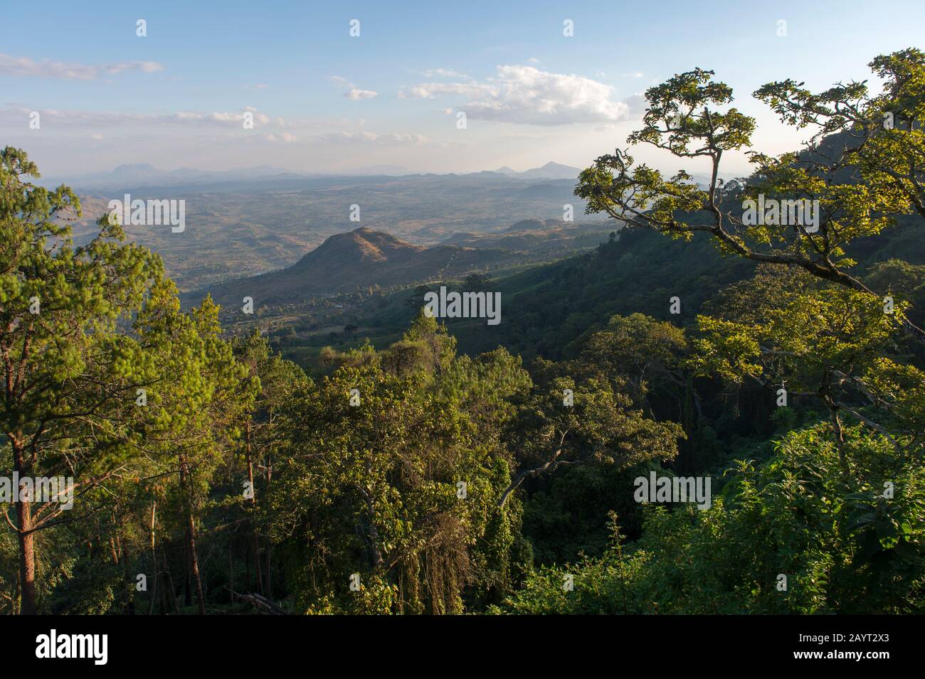 View of hilly landscape with forest and fields from the Zomba Plateau ...
