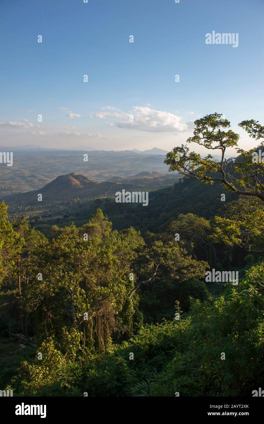 View of hilly landscape with forest and fields from the Zomba Plateau ...