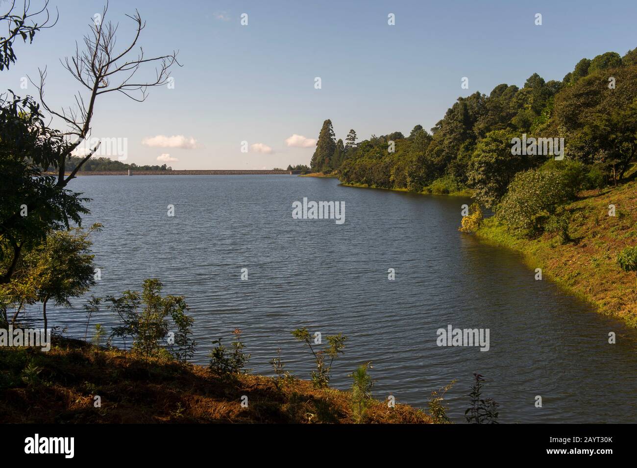 View of a water reservoir on the Zomba Plateau in Malawi Stock Photo ...