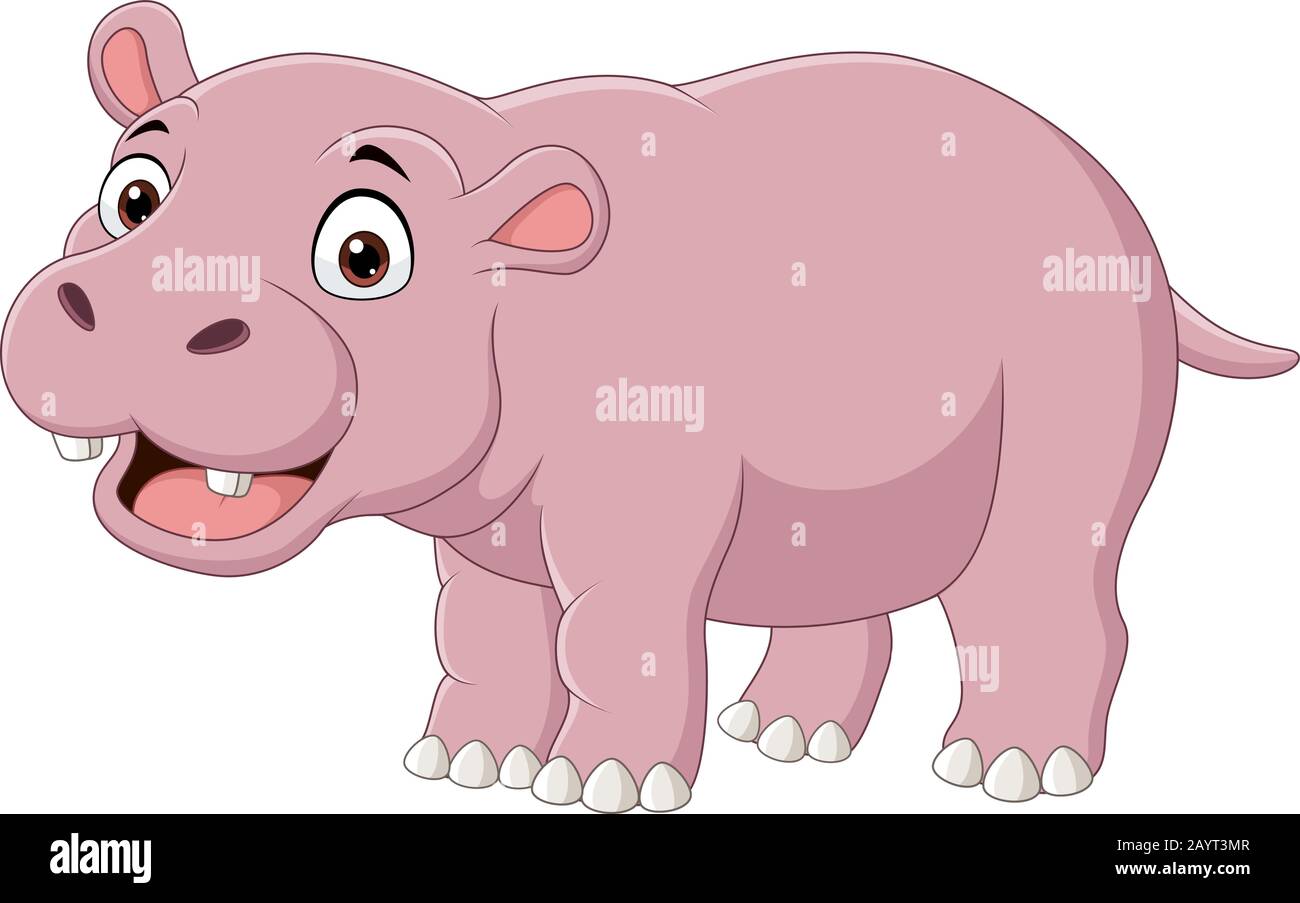 Cute smiling hippo on white background Stock Vector Image & Art - Alamy