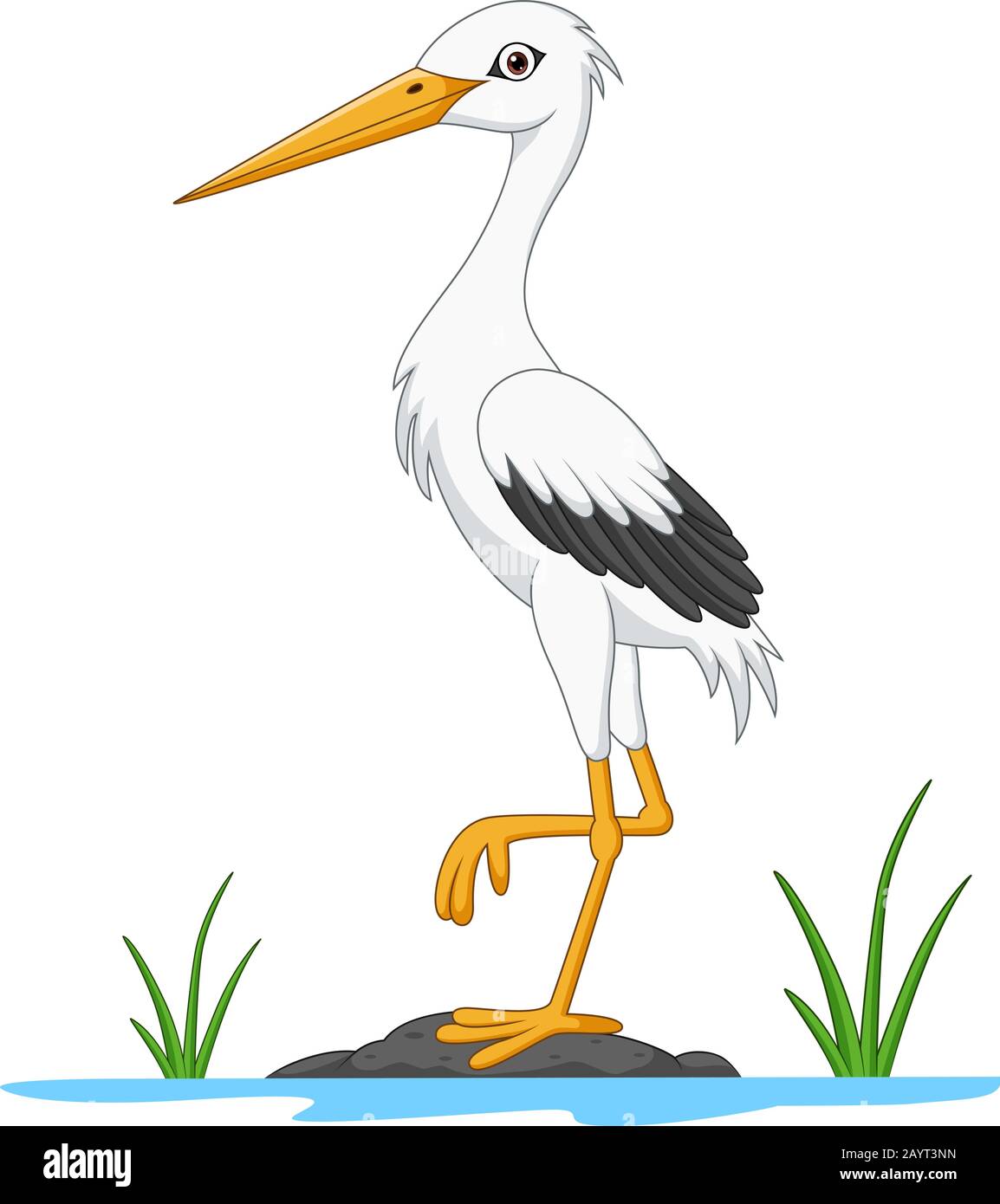 Cartoon white stork on stone Stock Vector Image & Art - Alamy