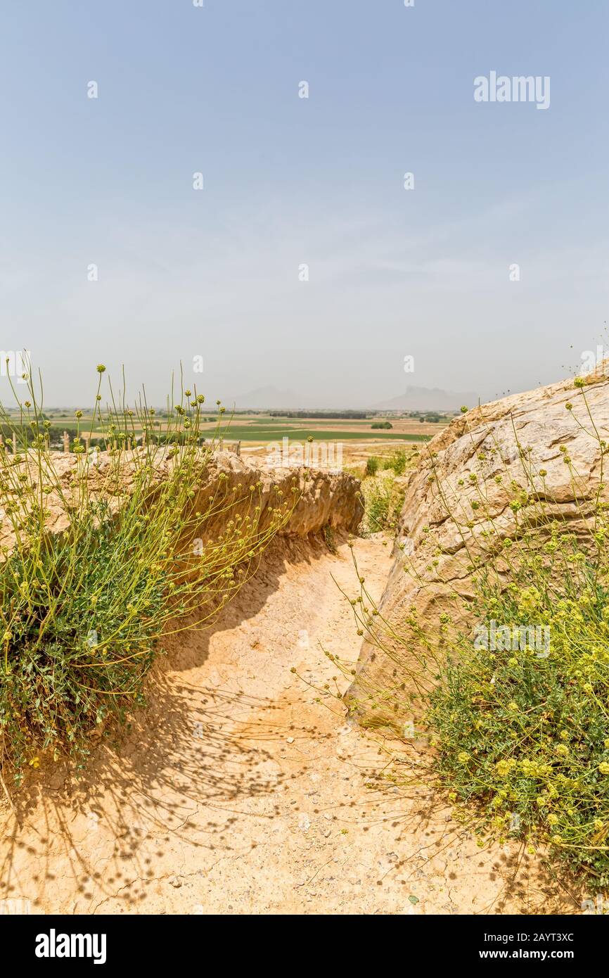 Persepolis capital achaemenid empire hi-res stock photography and ...