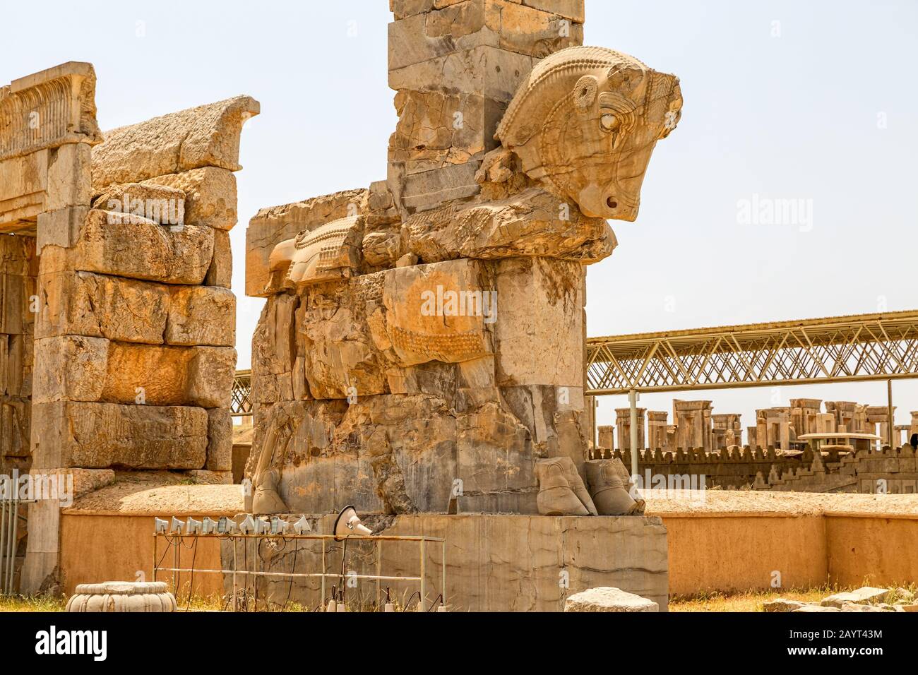 Taurus head Persepolis Stock Photo - Alamy