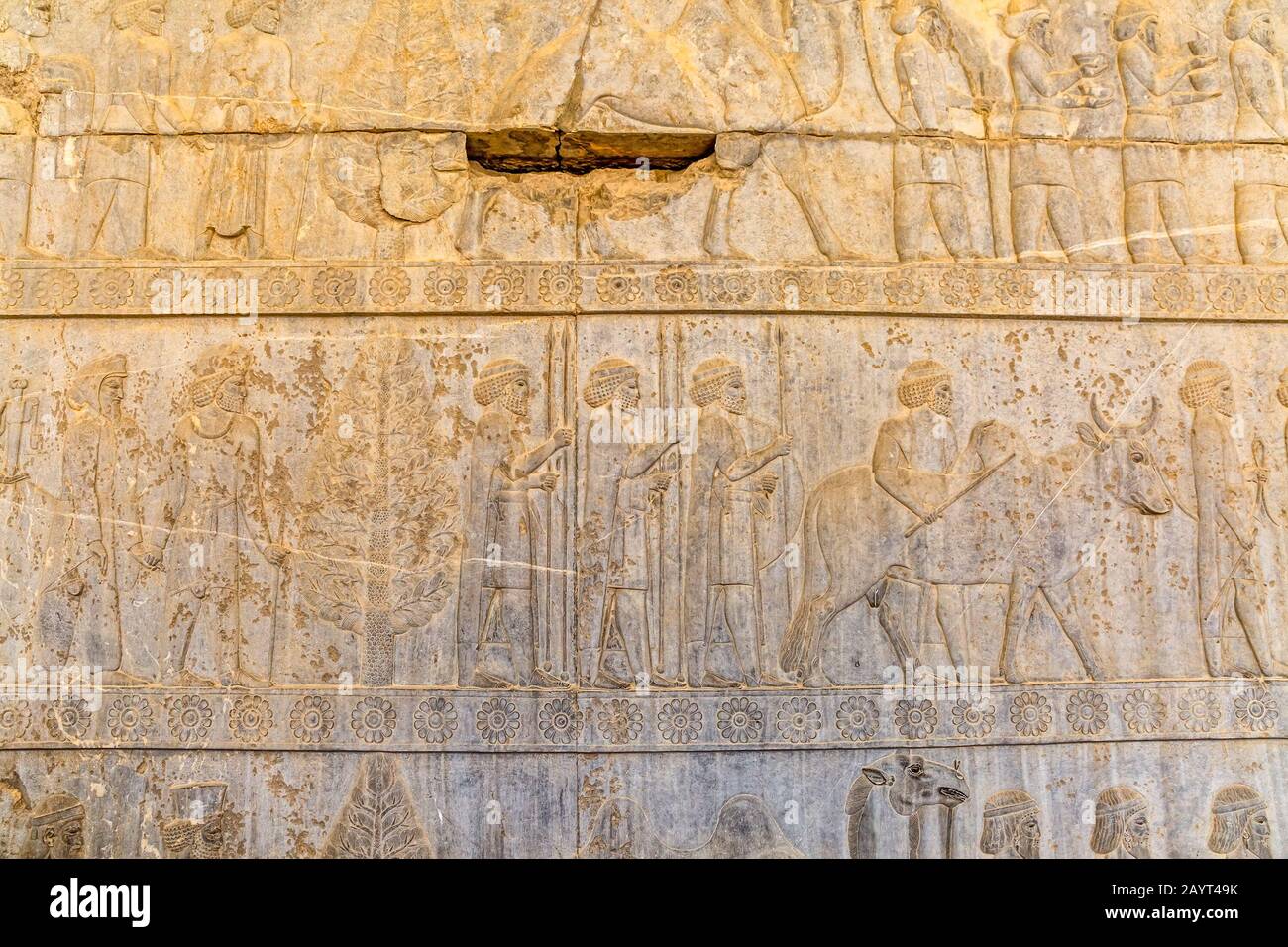 Residents of historical empire with animals in Persepolis Stock Photo ...