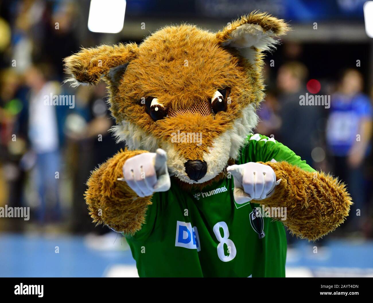 Fuchsi hi-res stock photography and images - Alamy