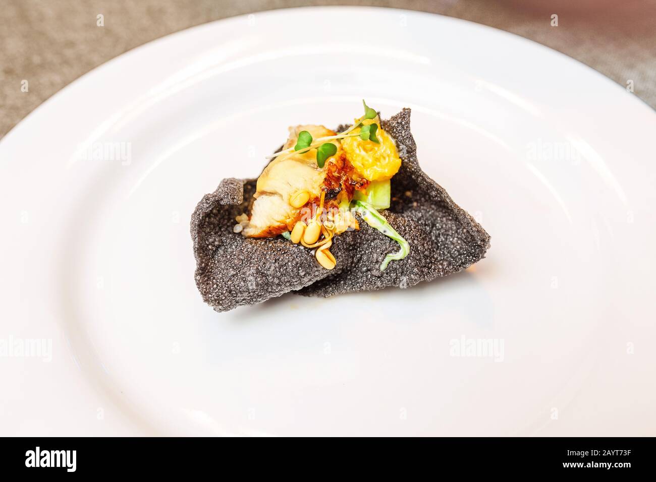 Haute cuisine dish of cuttlefish ink with eel and vegetables on a plate ...